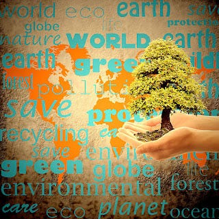 Summarizing the Reasons Behind ALLAH Creation of Nature | by All ...