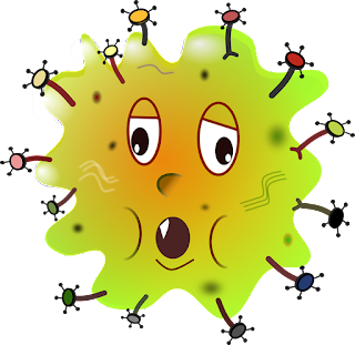 Bacillus Clausii Uses Health & Agriculture | by Manoj Shelke | Medium