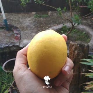 081220872889 | Buah Lemon. buah lemon, sayur rumahan, sayur… | by ...
