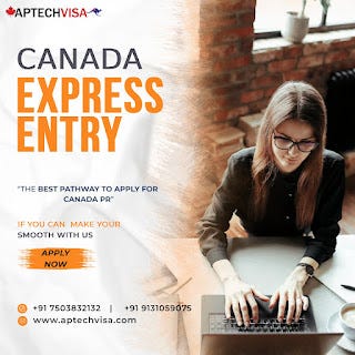 What is A Profile for Canada Express Entry? — Aptech Visa | by ...