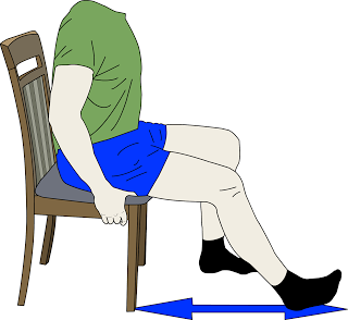 Seated Knee Flexion
