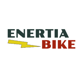 Enertia Bike. We have been riding bicycles our entire… | by enertiabike ...