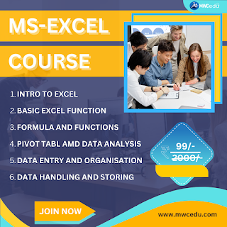 MS EXCEL. Mastering MS Excel: Your Complete Guide… | by kiranjeet kaur | Dec, 2024 | Medium