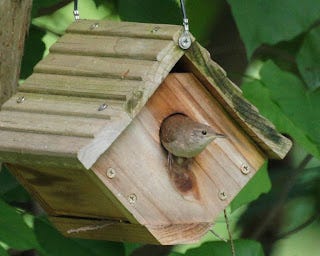 What Are We Doing?. On return from travels recently, we’re… | by Rodney ...