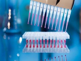 Polymerase Chain Reaction (PCR) Market Size, Growth, Analysis, Trends ...