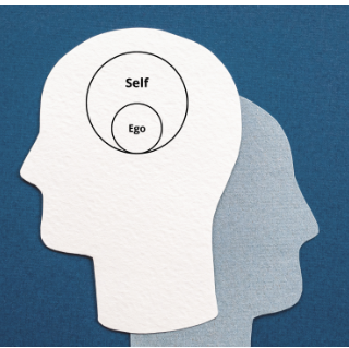 The problem of evil. An ego that eats our hearts from the… | by Aanvi ...