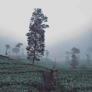 Prinsip - Patah Makna - Medium