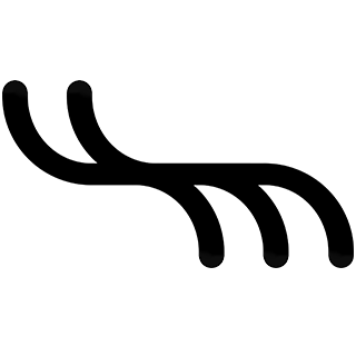 Human Computer