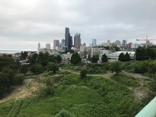 Speechless in Seattle: Voices from the Sidelines | by Joe Conniff ...