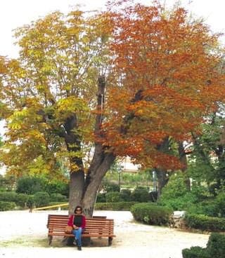 Athens re-run | by Mallika Menon | Medium