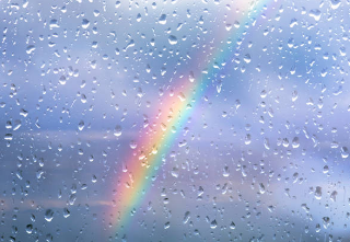 Raindrops - Livia Goto - Medium