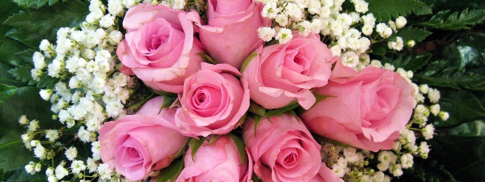 Best Flowers Ever