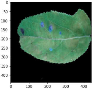 Grabcut algorithm —An OpenCV feature that might improve image handling model’s performance ...
