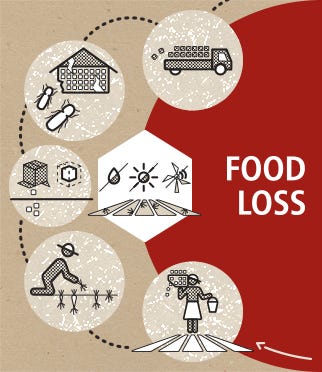10 interventions to reduce food loss and waste | Medium
