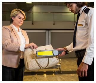 Safeguarding Hospitality: Top Hotel Security Companies - SECURITY PLUS ...