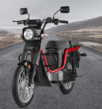 Heavy Duty Electric Scooter: Luna In Electric Avatar - Digno EVs - Medium