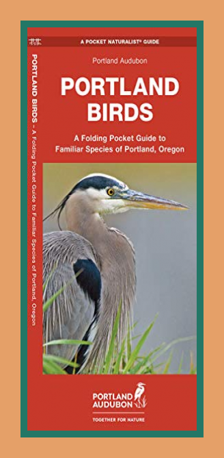 Portland Audubon: Portland Birds: A Folding Guide to Familiar Species ...