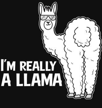 Unlocking the Power of AI: Your Gateway to a World of LLMs with Ollama and LightLLM | by ...