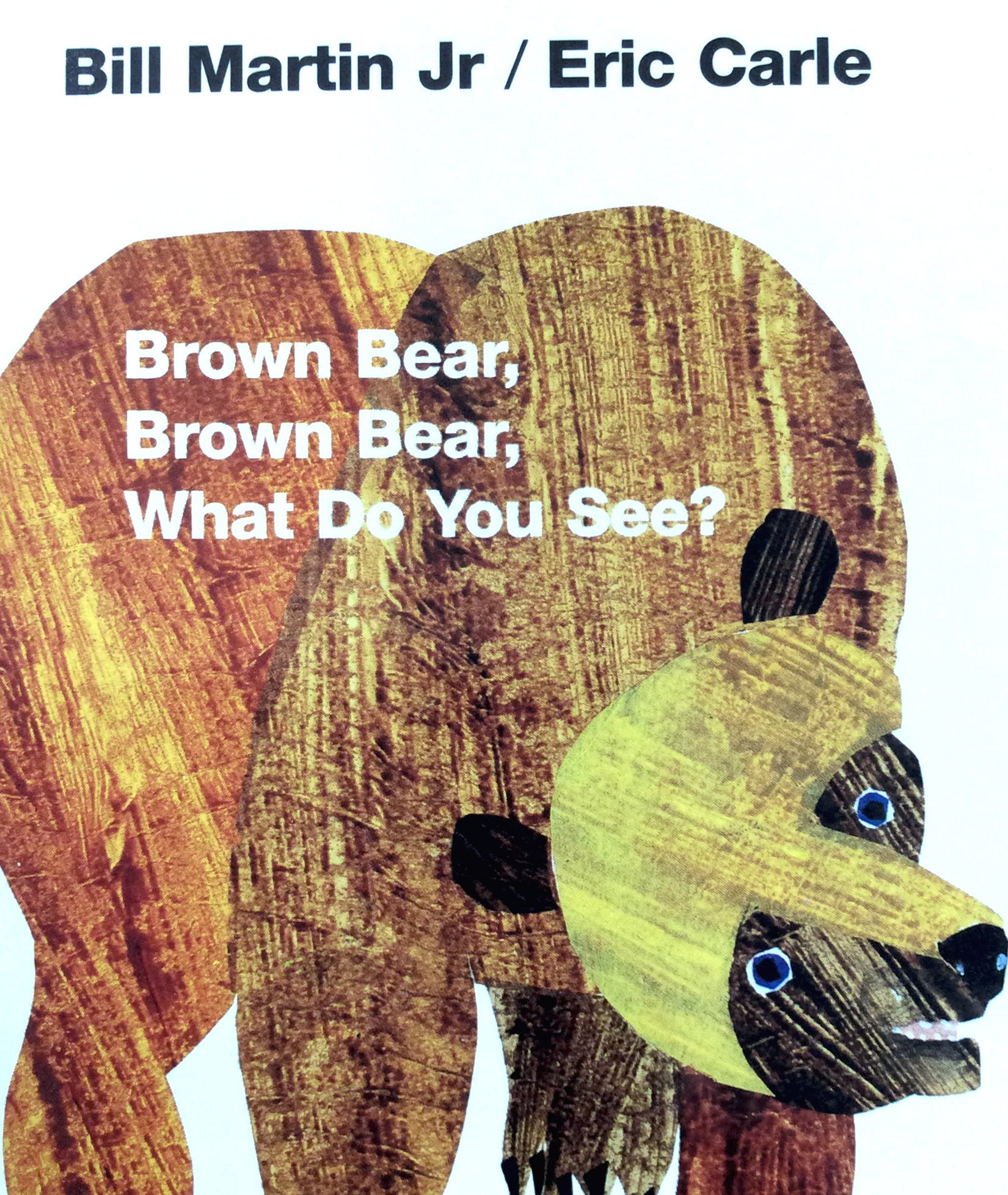 Brown Bear Brown Bear What Do You See Children