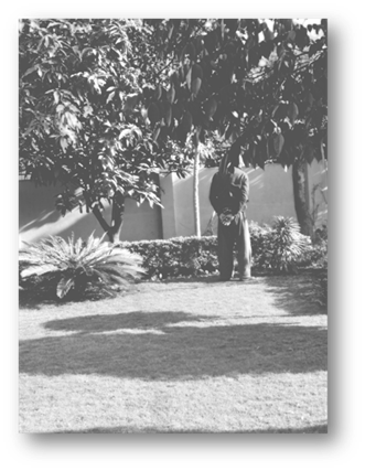 The Lost Old Man. What are you looking for in the Garden? | by Aakriti ...