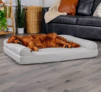 Pamper Your Pup: The Coziest and Most Comfortable Dog Beds on Amazon ...