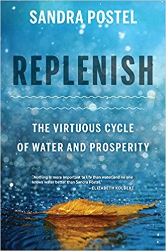 Replenish — Book Review. “From that knowledge flows a moral… | by Galen ...