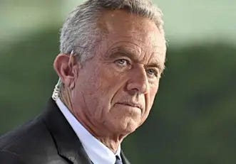 Pilihan Raya 2024: Kebangkitan calon bebas | by Naufal Durokhman Naufal ...