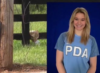 What happened to Lauren Hewski? - Prizebondlives - Medium