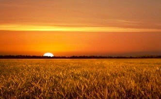 Letting Go of Negative Narratives | by Mara Fisher LCSW, MCC | Medium