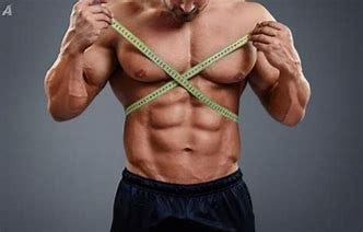# Titania: Your Path to Success in Muscle Building | by Atefw | Dec ...