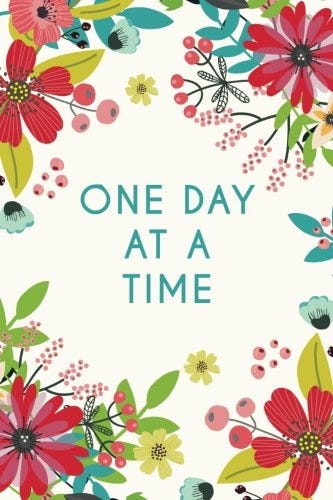 [EBOOK]-One Day At A Time (6x9 Journal): Red Blue Floral,Lightly Lined ...