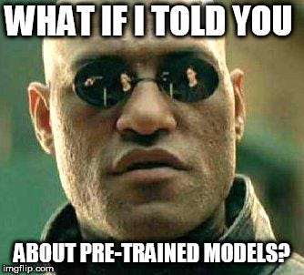 Why use a pre-trained model rather than creating your own? | by Florin ...