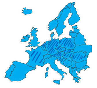Core Flow-Based Market Coupling. Here you can read some ideas on the ...