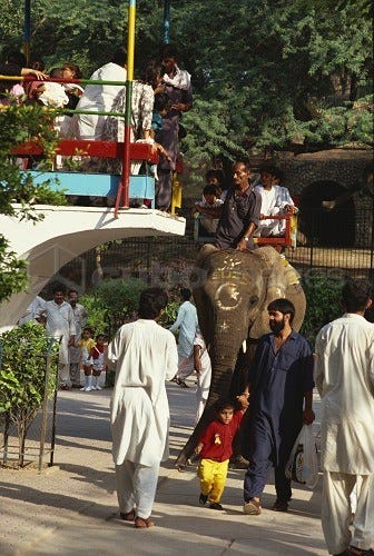 Just a flimsy rope, eh?. I was born and raised in Lahore… | by Ali ...