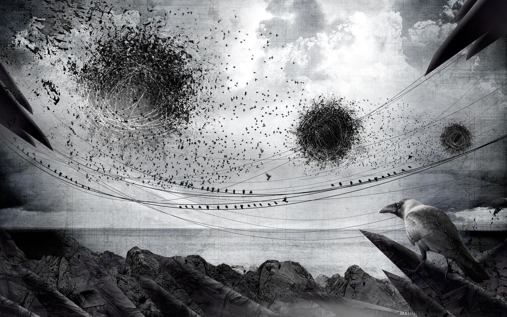 Elements Of Insanity Wallpaper