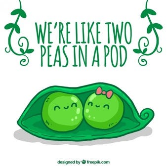 CAN TWO PEOPLE REALLY BE LIKE TWO PEAS IN A POD? | by Renee ...
