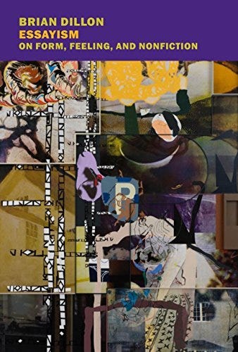 2023 Books: January. Essayism by Brian Dillon (2018) | by S. T. Brant ...