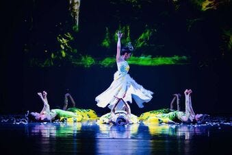 Improve your Dancing Skills by Joining the Dance Company | by Inner ...