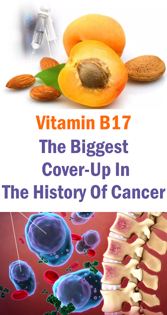 Vitamin B17: The Biggest Cover-Up In The History Of Cancer - Nannie ...