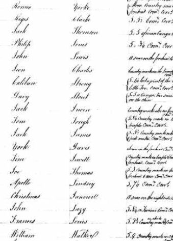 What’s in a name?. As I researched my family history… | by Anya Gass ...