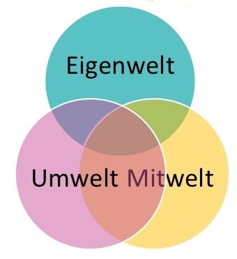 Eigenwelt, Mitwelt, Umwelt, Überwelt | by Bahadır Özerdem | Türkiye Yayını