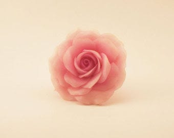 Tender Rose. You think you're a stone, But you're… | by pradeepta ...