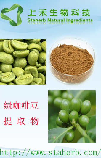 Green Coffee Bean Extract - Changsha Staherb - Medium