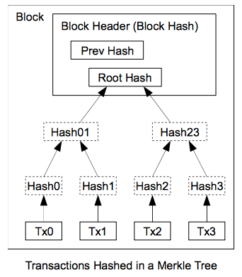 Achieving Blockchain Scalability with Sparse Merkle Trees and Bloom Filters | by Andrew Barisser ...