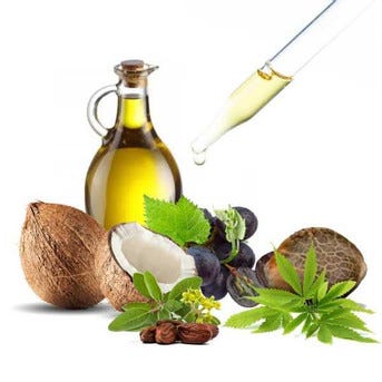 Unlocking the Benefits of Carrier Oils: Enhancing Your Essential Oil ...