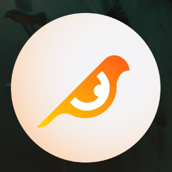Birdeye $BIRDEYE Airdrop Instruction: CLAIM 400 IN $BIRDEYE FOR ALL ...