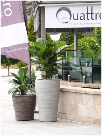 No Ordinary Pot Plant — Go For Modern Office Planters | by Green Design ...