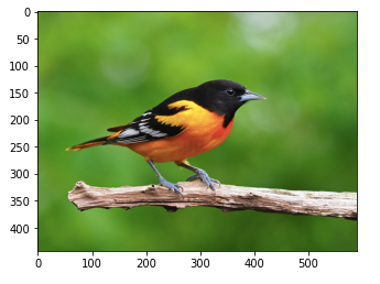 Color quantization, Image compression and clustering via k-means | by ...