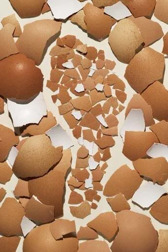 Should working with coworkers feel like walking on egg shells? | by ...