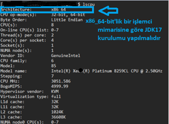 Java Upgrade. Java 8'den Java 17'ye Nasıl… | by Serhat Kaş | Medium